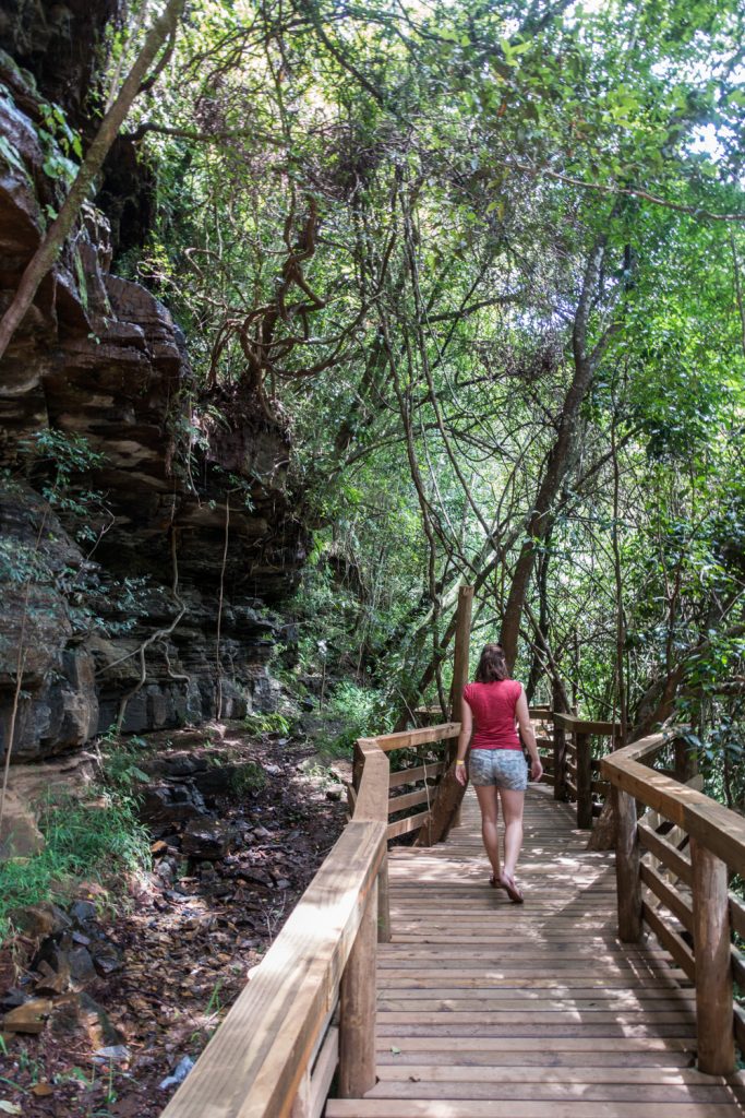 Graskop Gorge Lift - The Newest Addition to the Panorama Route ...